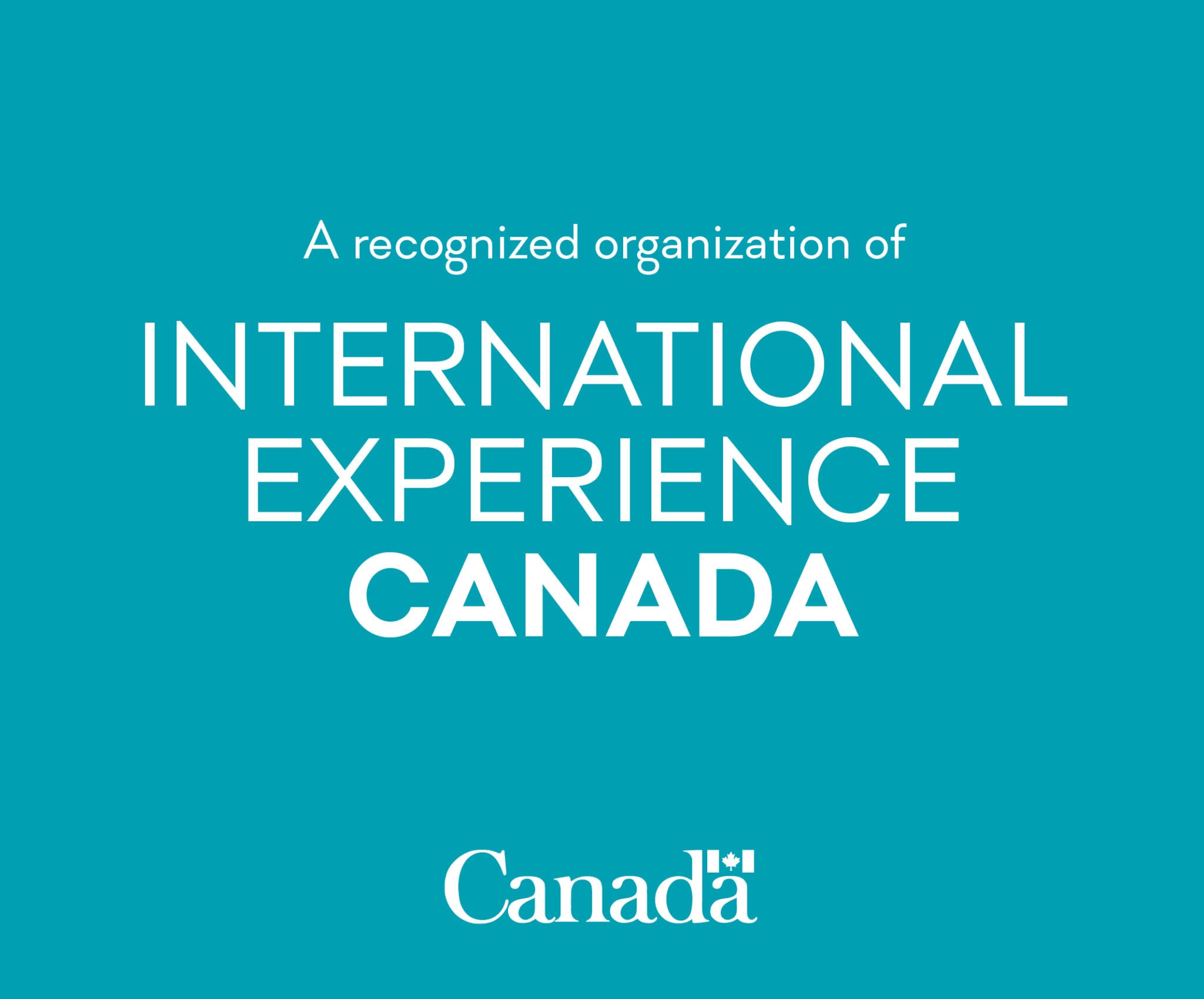 Go International – Go discover the world, GO International.